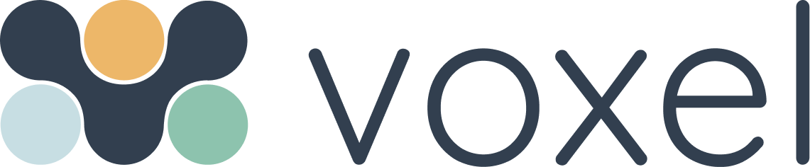 Voxel's journey to the global search awards - Global Search Awards